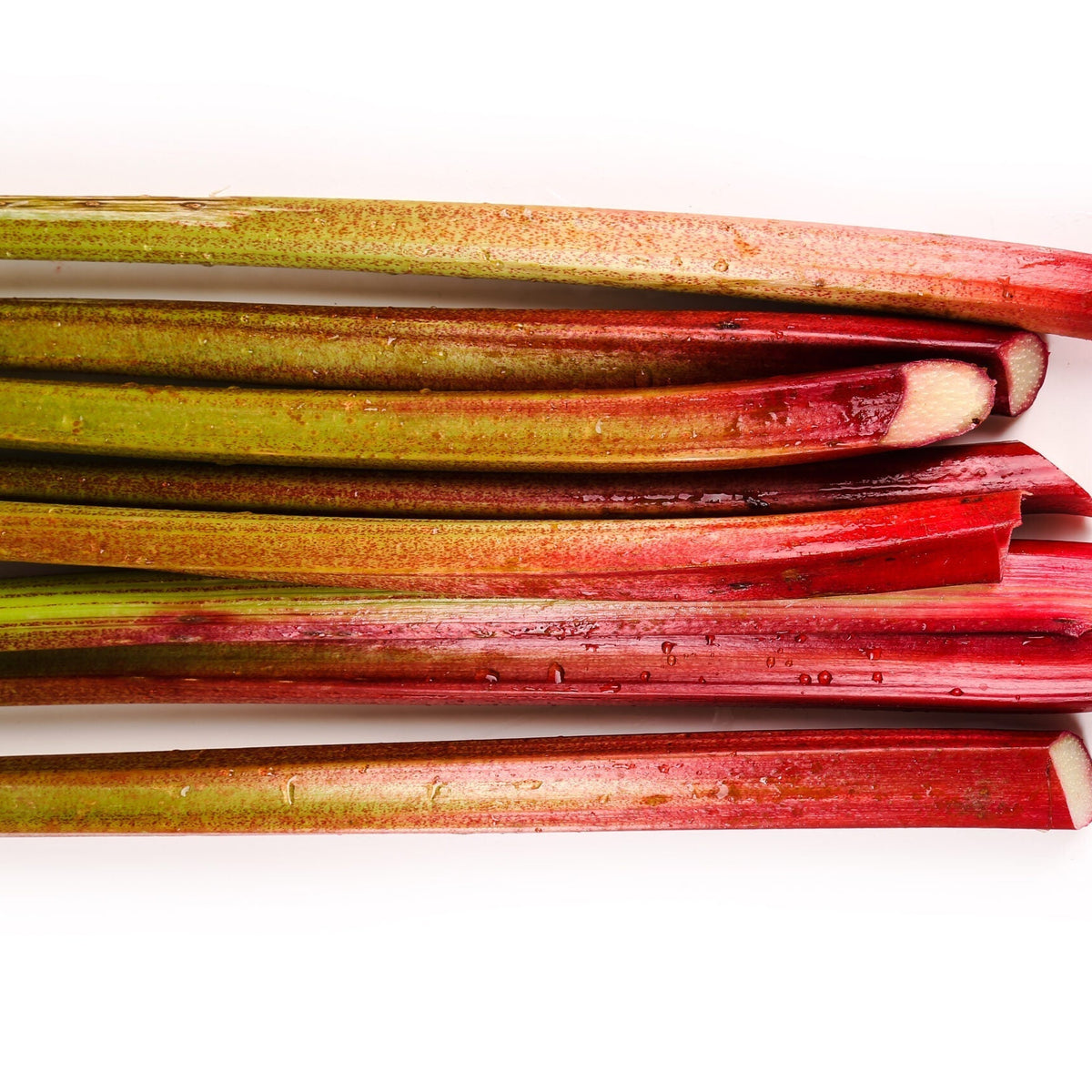 Cultiver de la rhubarbe : planter une fois et récolter pendant des ...