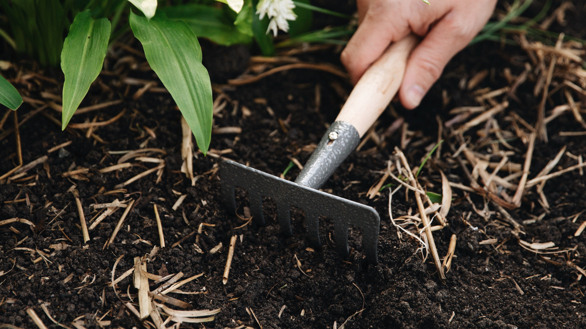 Rake – PLUKKERS