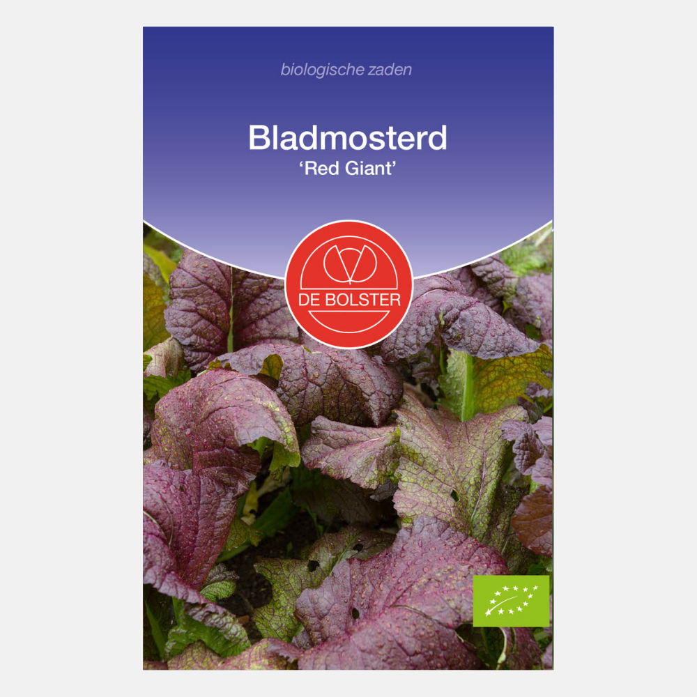 Moutarde en feuilles 'Red Giant' BIO – PLUKKERS
