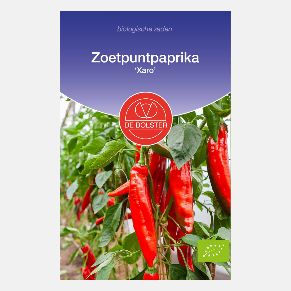 Sweet pointed pepper 'Xaro' BIO – Plukkers.com