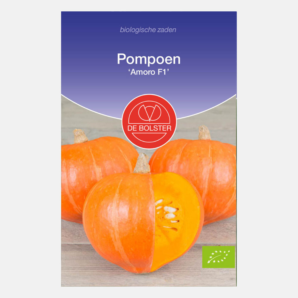 Pumpkin 'Amoro F1' BIO – Plukkers.com