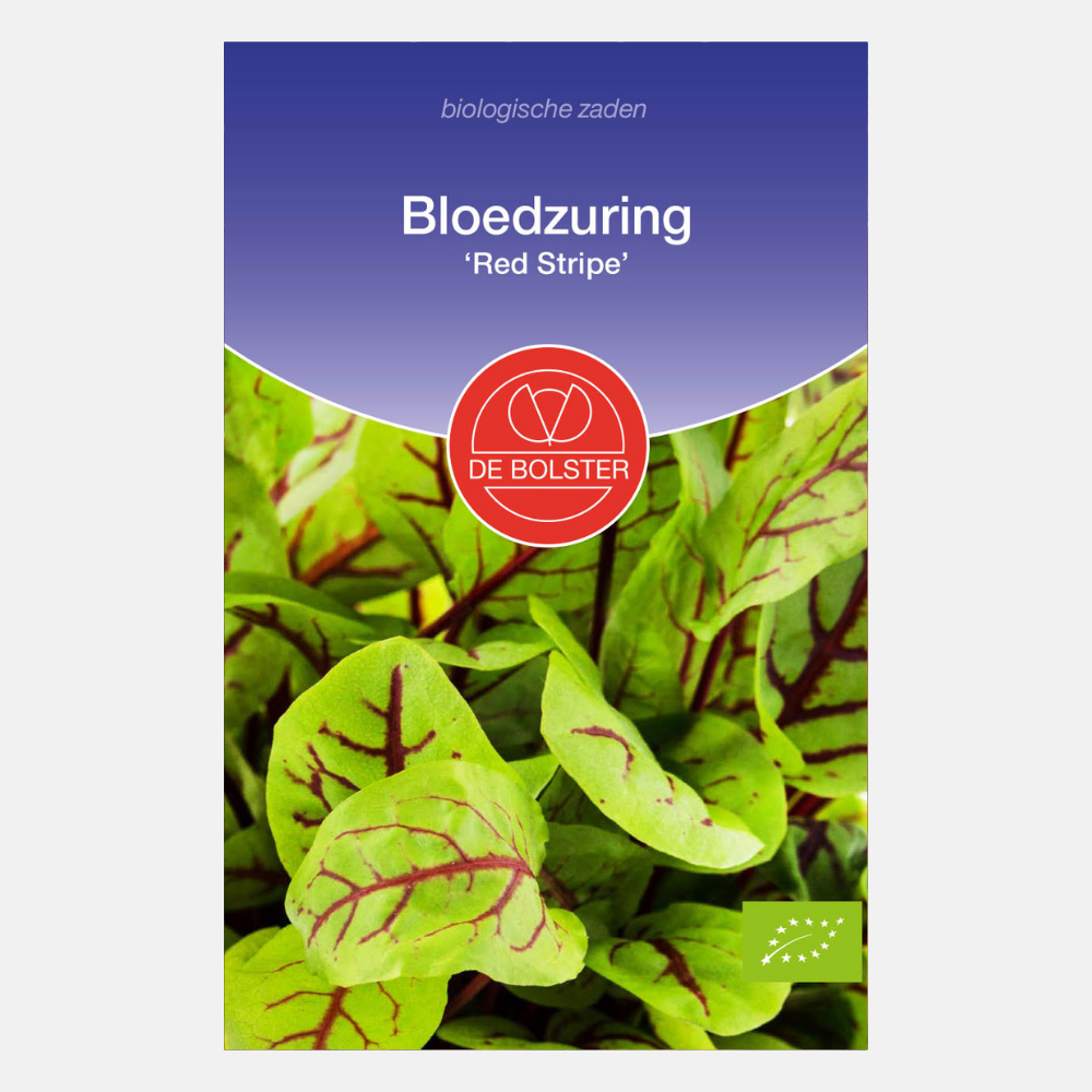 Blood sorrel 'Red Stripe' BIO – PLUKKERS