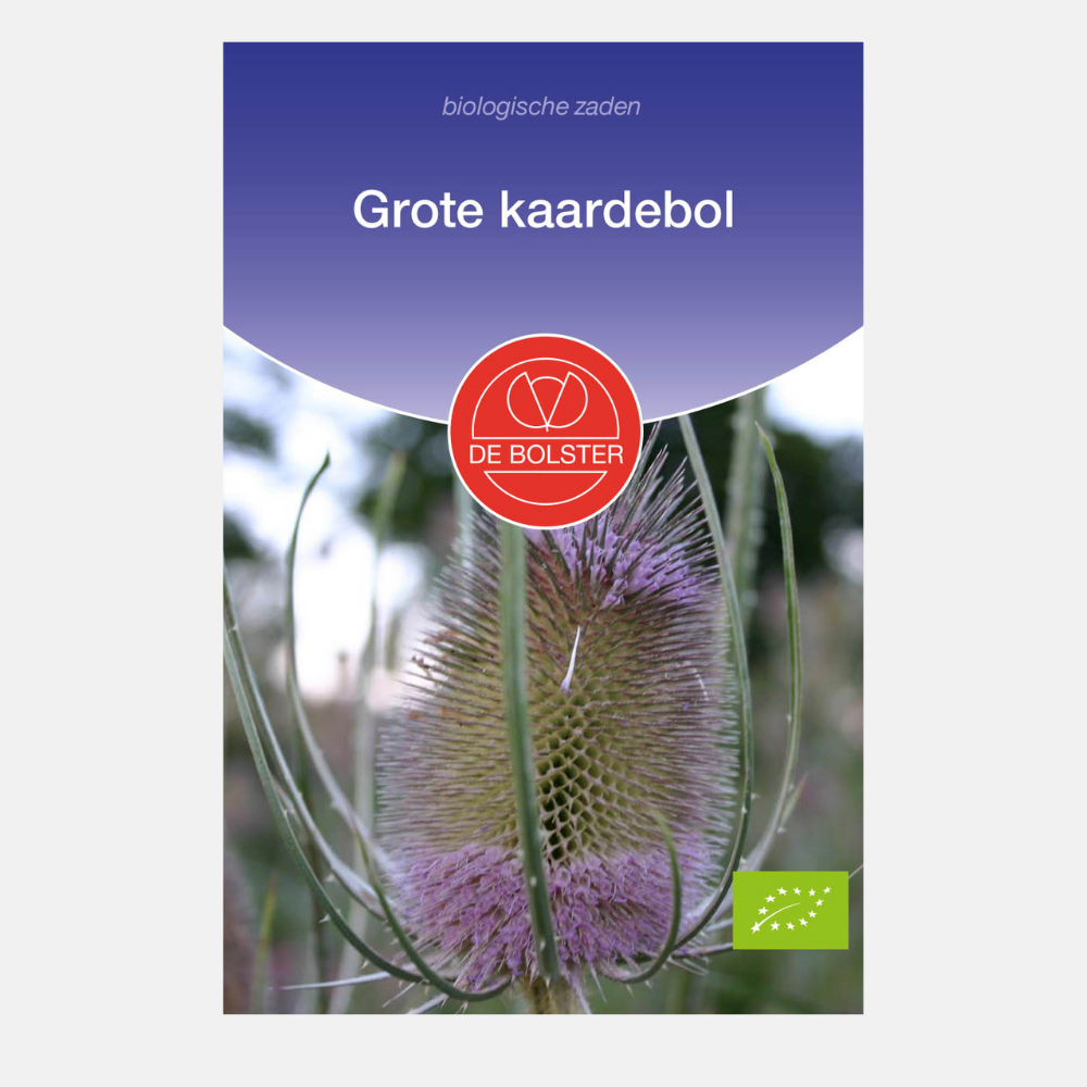 Grande cardère biologique – PLUKKERS