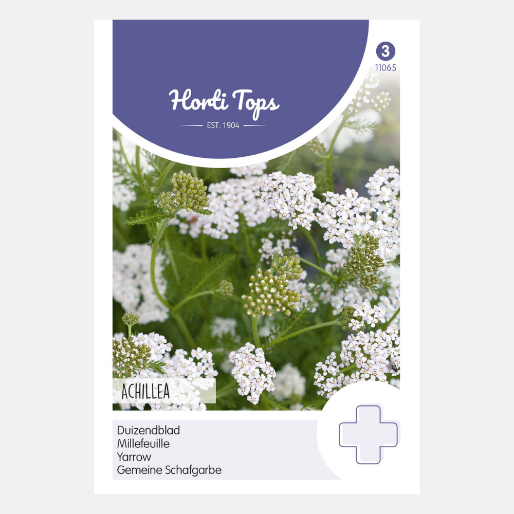 Yarrow – Plukkers.com