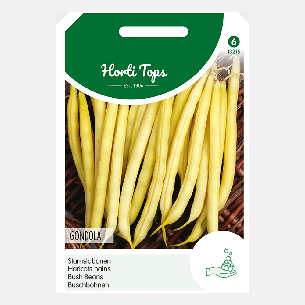 Bush Princess Beans 'Gondola' - Yellow Butter Beans – Plukkers.com