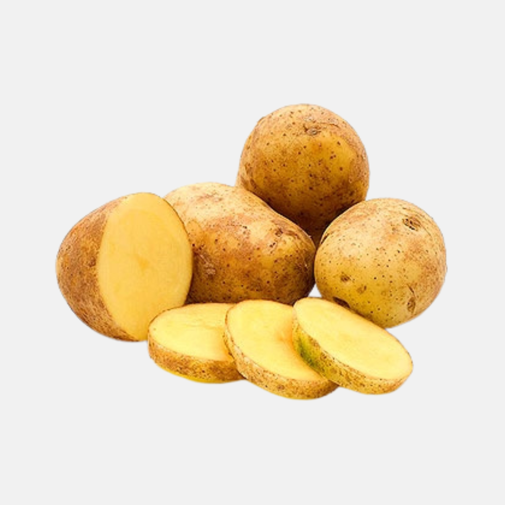 Seed potato 'Agria' BIO – PLUKKERS