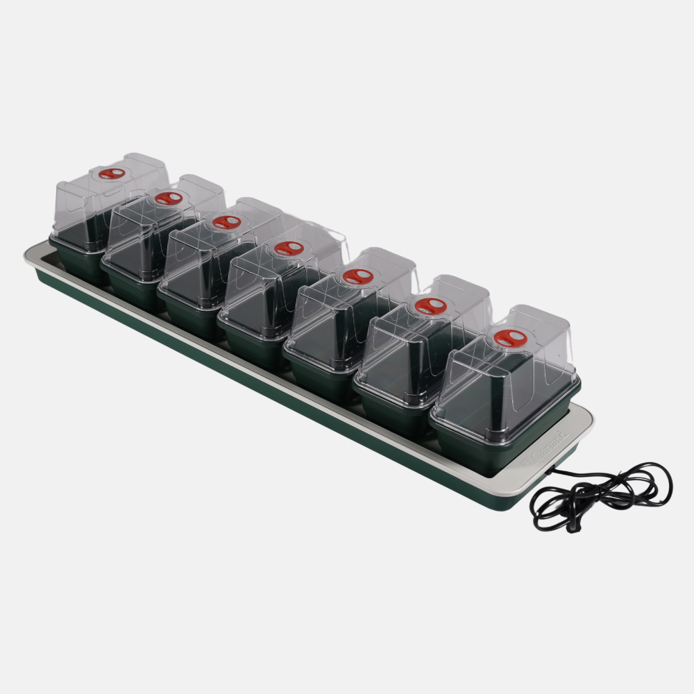 Rebord de fenêtre de propagateur – PLUKKERS