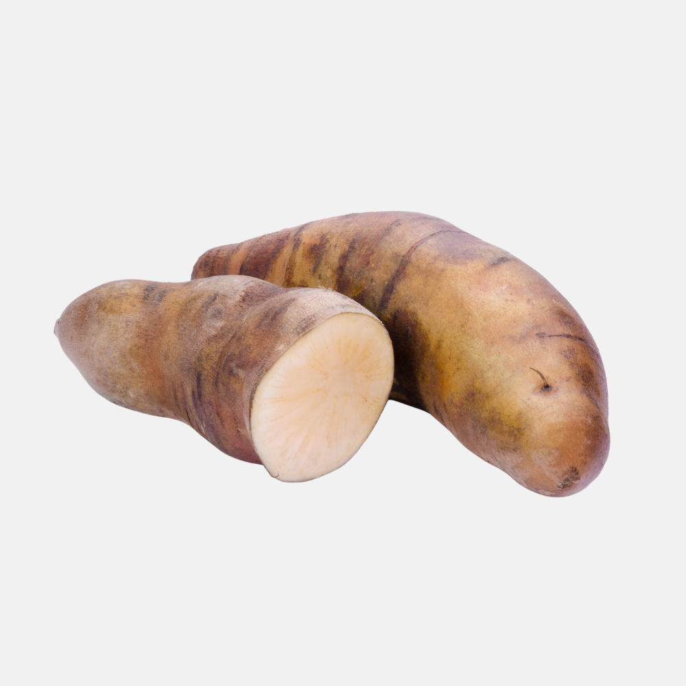 Yacon or apple root breeding tubers BIO – Plukkers.com