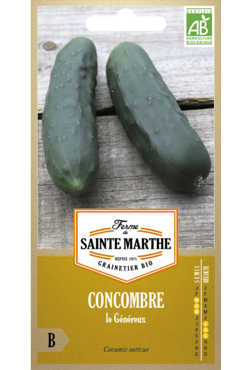 Gurke 'le Généreux' Bio-Samen – Plukkers.com